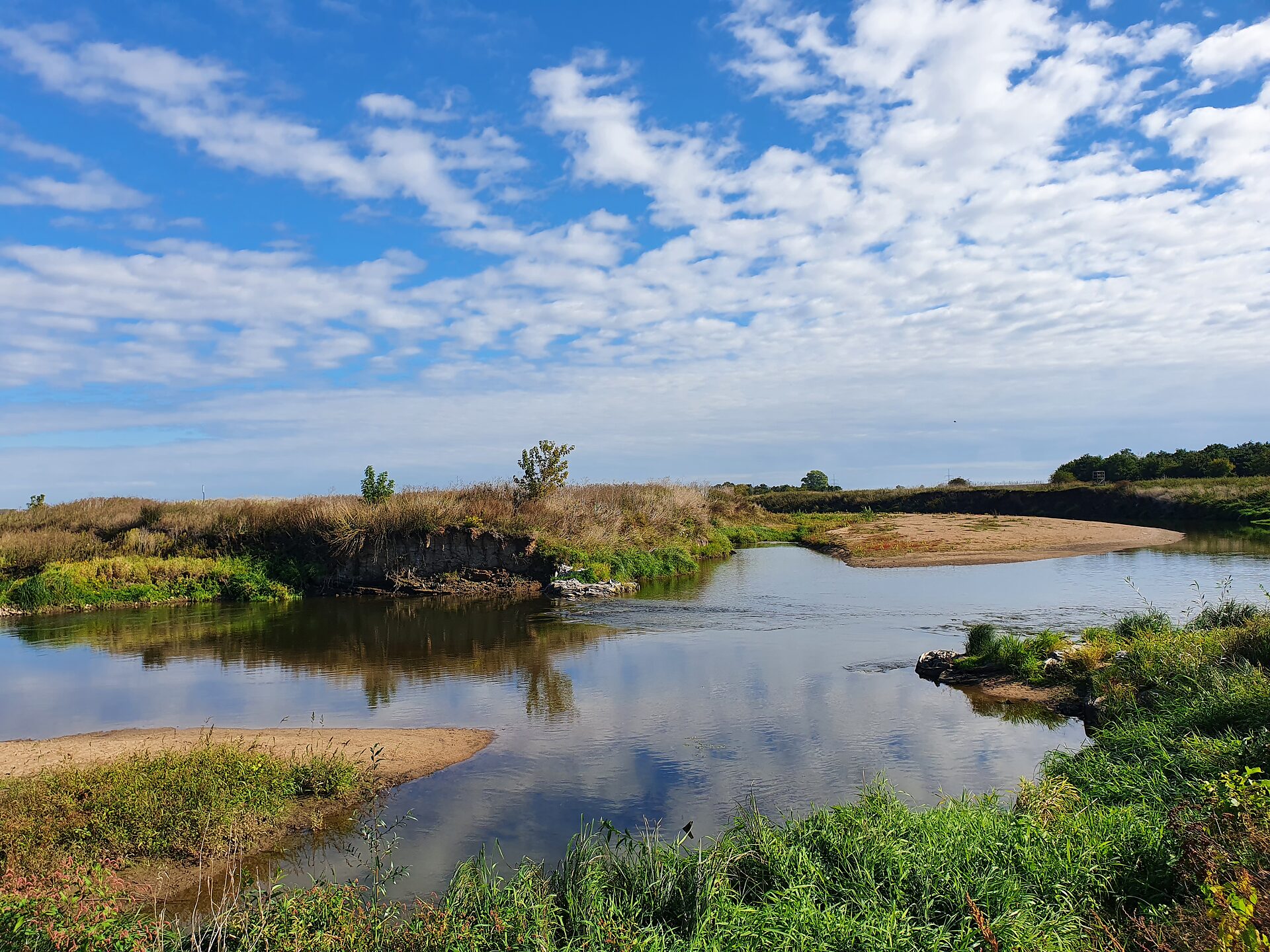 Wiesen, Wälder und vielfältiges Grünland im DBU Naturerbe in Sachsen ...