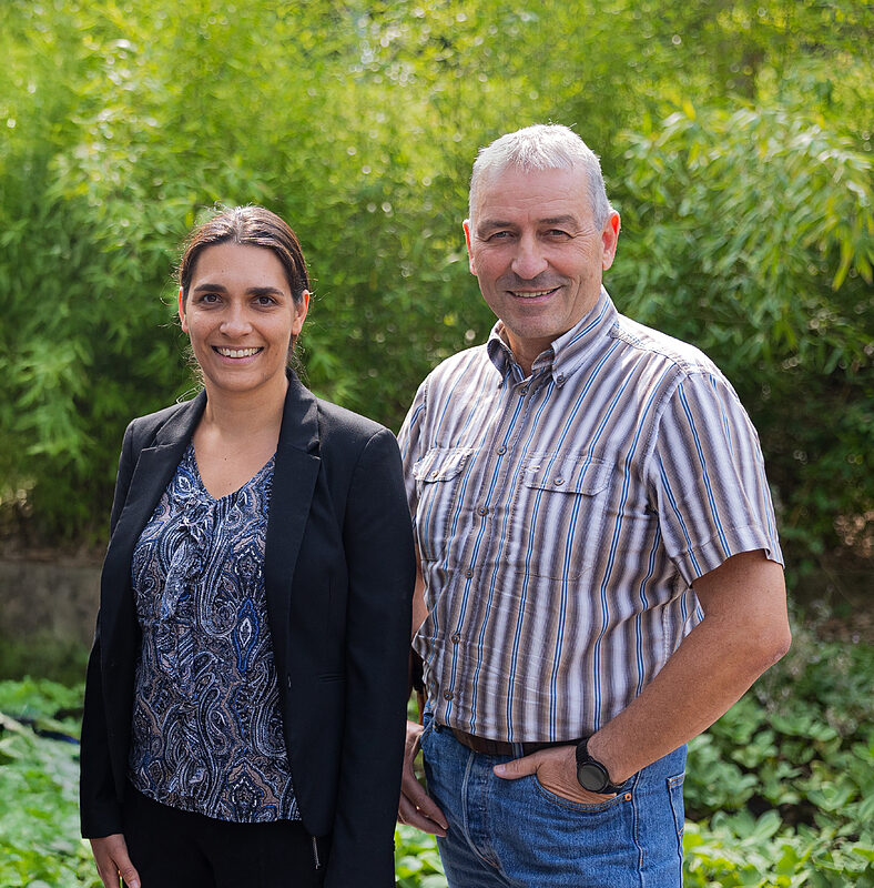 „Wir wollen die guten Ideen wecken“ – Interview zur DBU-Förderinitiative Speicher und Netze - DBU