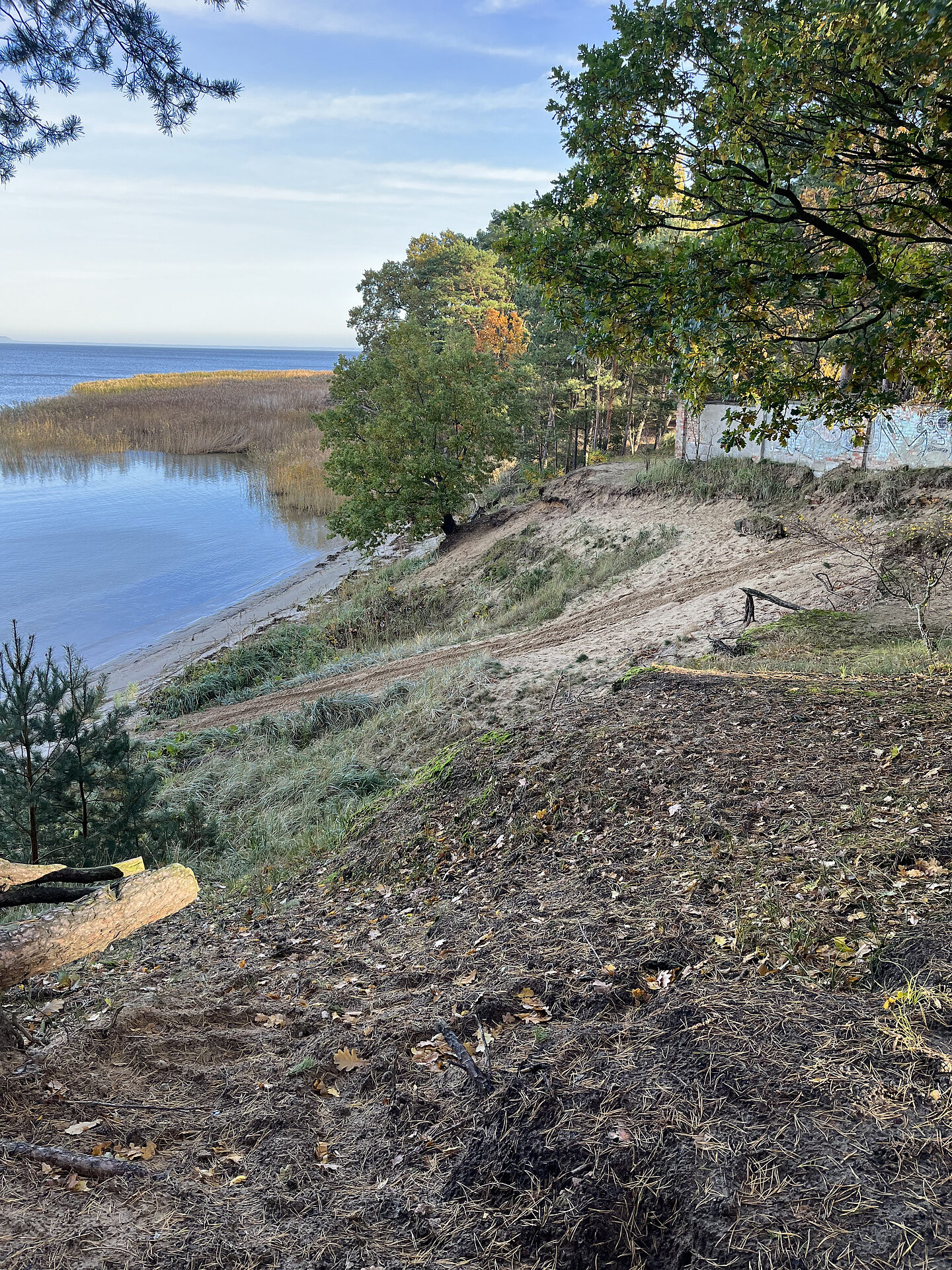 Wenn die Natur unter die Räder kommt - DBU