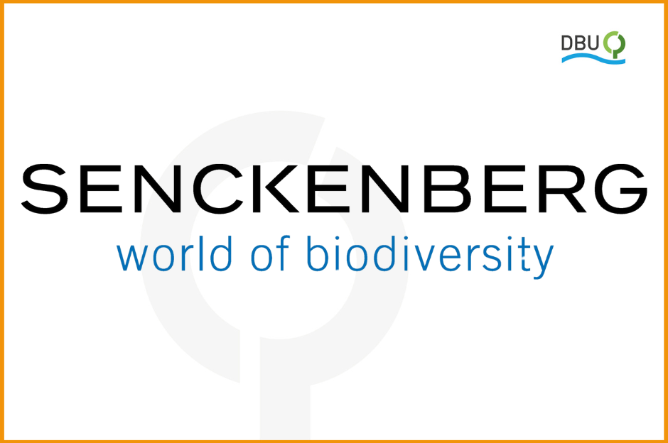 Good Practice: Kleinspecht - DBU