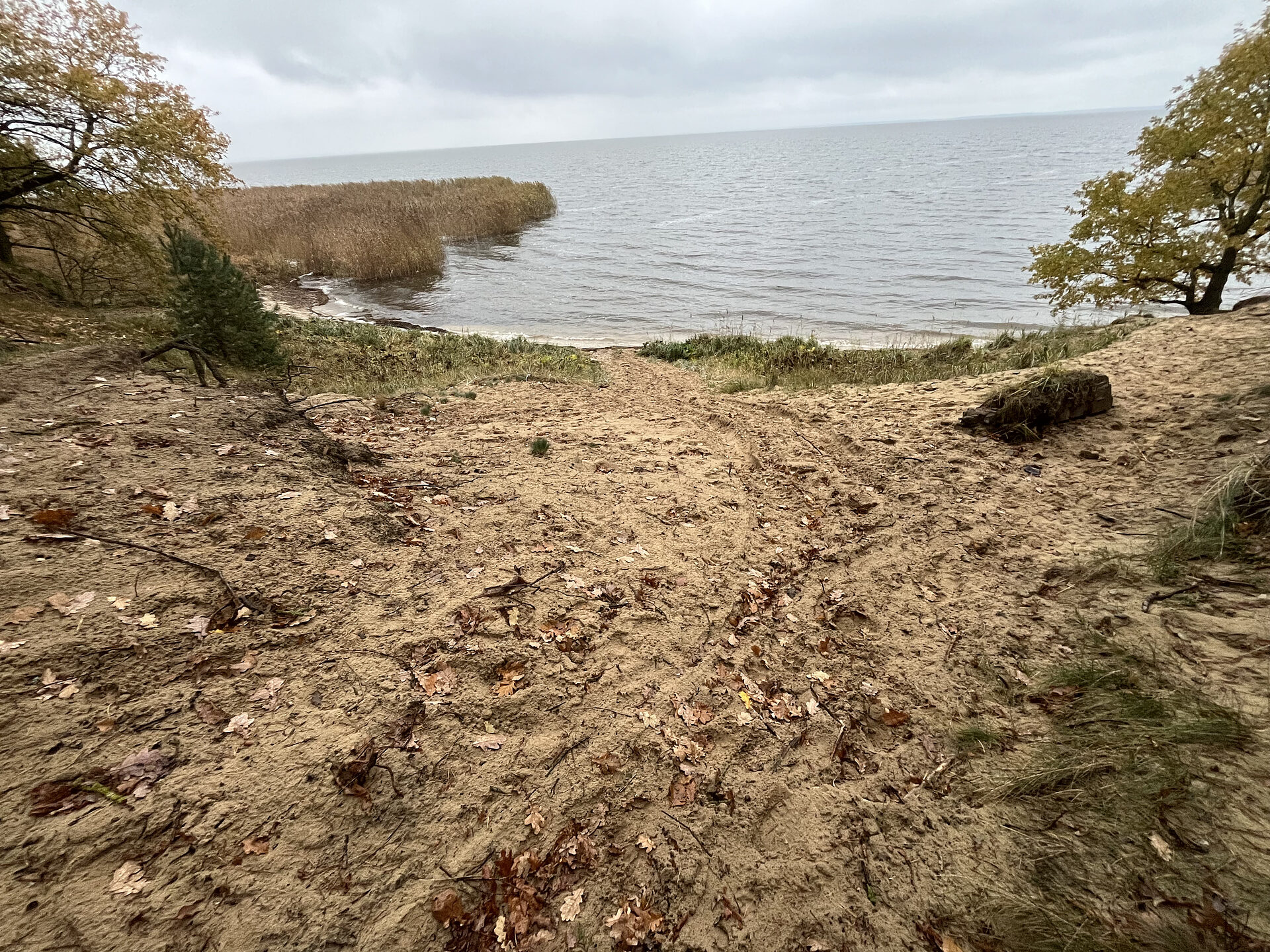 Wenn die Natur unter die Räder kommt - DBU