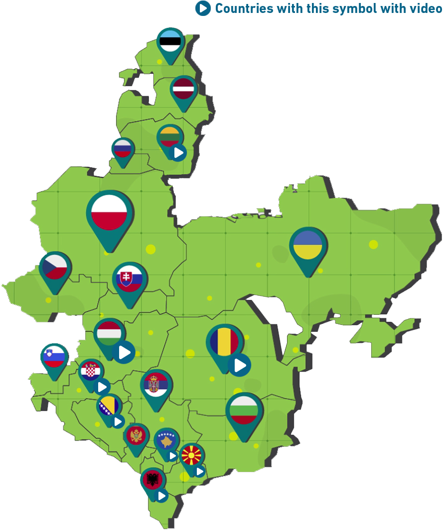 MOE Fellowship - DBU